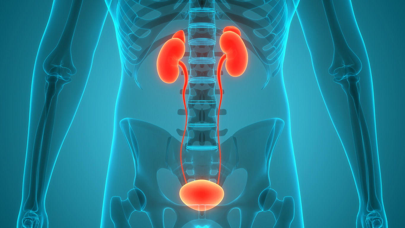 Urinary Tract Infections | Spinal Cord Injury Ontario